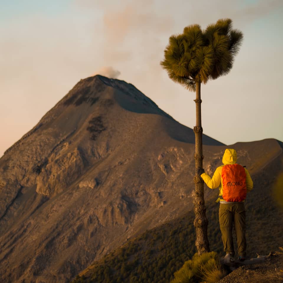 Chompipe 50 Verde - Eureka502